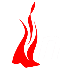 25+ Mindfire Transport Management Alternatives Worth Switching to ...